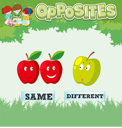 Opposite words for same and different Royalty Free Vector