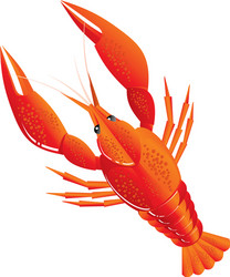 Crawfish Boil Vector Images (over 360)