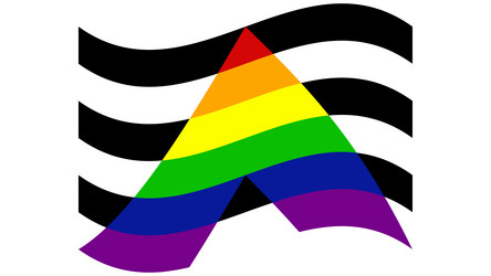 Straight allies pride flag lgbt community flag Vector Image
