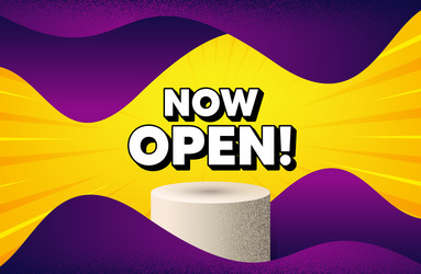 Now open promotion new business sign Royalty Free Vector