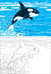Killer whale Royalty Free Vector Image - VectorStock