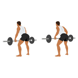 Man doing seated low cable back rows exercise Vector Image