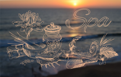 Spa treatment banner Royalty Free Vector Image