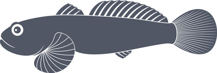 Goby Fish Vector Images (52)