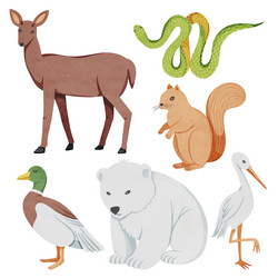 Wild Animal Group Vector Images (over 13,000)