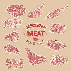Collection of raw meat in vintage engraving style Vector Image