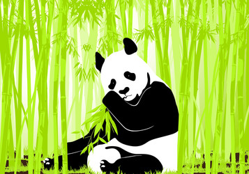 Panda Royalty Free Vector Image - VectorStock
