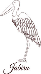 Jabiru Vector Images (61)