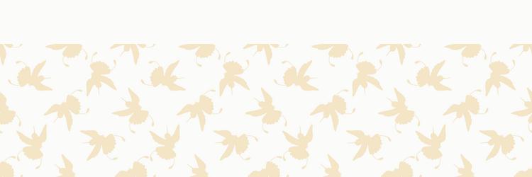 Hummingbird Border Vector Images (over 120)