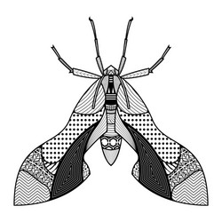 Runner leatherback Royalty Free Vector Image - VectorStock