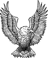 Eagle Vector Images (over 69,000)