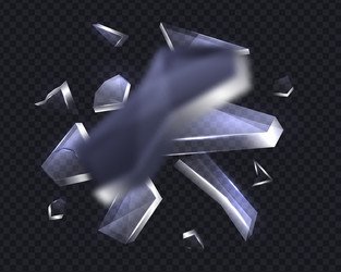 Scattered glass shatters Royalty Free Vector Image