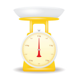 Pink color weight scale market isolate on white Vector Image