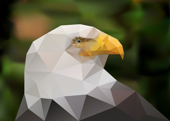 Eagle Triangle Head Vector Images (over 110)