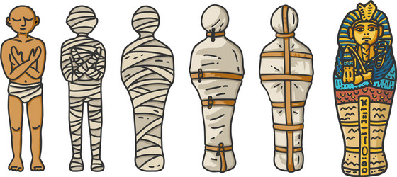 Egyptian mummy mummification process Royalty Free Vector