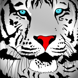 White Tiger Vector Images (over 48,000)
