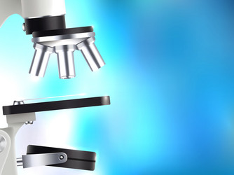 Objective Vector Images (over 5 million)