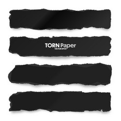 Torn paper divider lines ripped cardboard page Vector Image