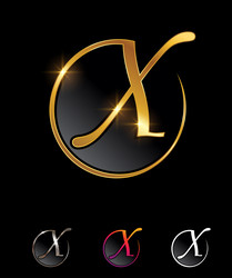 Golden x letter monogram logo Royalty Free Vector Image