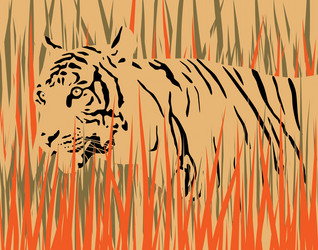 Tiger Stalking Vector Images (40)