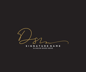 Initial letter d logo - handwritten signature Vector Image