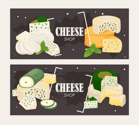 Flyer cheese banner book a4 size paper Royalty Free Vector