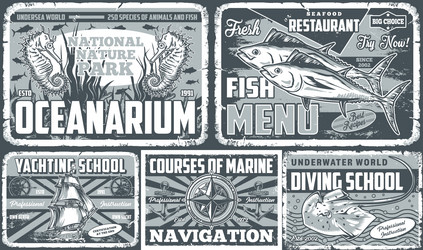 Nautical adventure flyers colorful set Royalty Free Vector