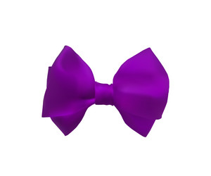 Purple satin gift bow isolated on white Royalty Free Vector