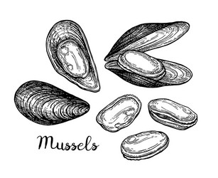 Mussels set in hand drawn sketch style Royalty Free Vector