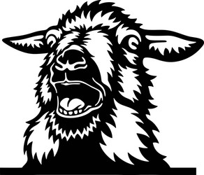 Horned goat - cheeky goat peeking out - face head Vector Image
