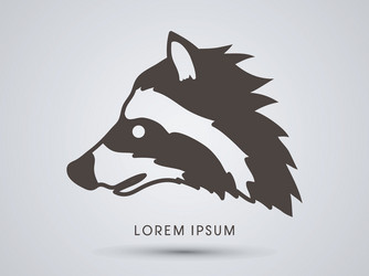 Comic Raccoon Vector Images (over 2,600)