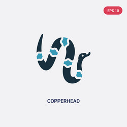 Copperhead Vector Images (31)