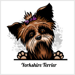 Logo Design Yorkshire