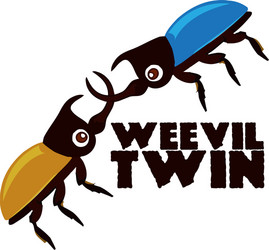 Blue beetle weevil Royalty Free Vector Image - VectorStock