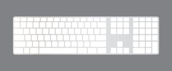 Empty keyboard key Royalty Free Vector Image - VectorStock