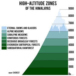 With high-altitude zones Royalty Free Vector Image