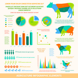 Pig Infographic Vector Images (over 1,300)