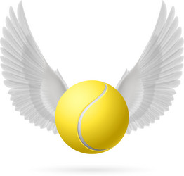 Flying ball Royalty Free Vector Image - VectorStock