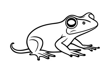Frog line art Royalty Free Vector Image - VectorStock