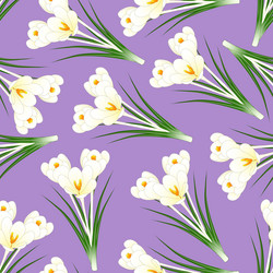 White crocus flower seamless background Royalty Free Vector