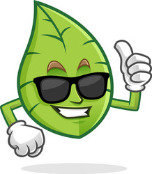 Cool funky leaf mascot leaves character Royalty Free Vector