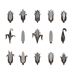 Corn Maize Vector Images (over 10,000)