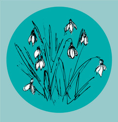 Snowdrop Line Drawing Vector Images (over 270)