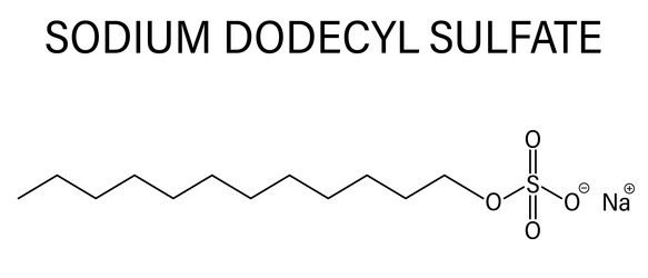 Sodium dodecyl sulfate molecule skeletal formula Vector Image