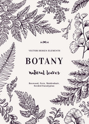 Botanical Leaves Vector Images (over 160,000)