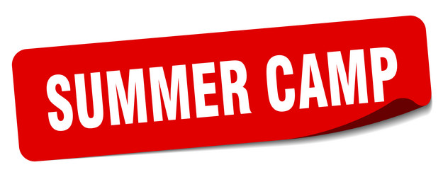 Summer camp sticker label Royalty Free Vector Image
