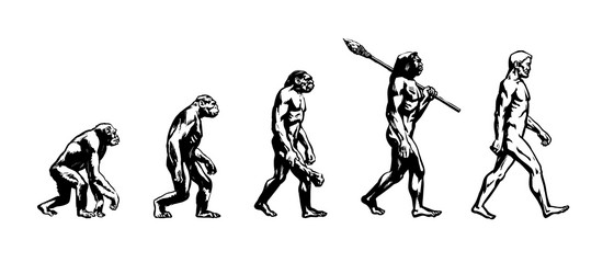 Silhouette of theory of evolution of man Vector Image