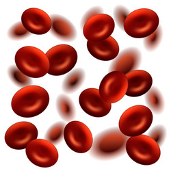 Reticulocyte blood cell isolated on white Vector Image