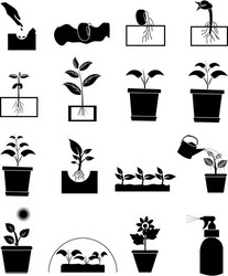 Plant and sprout growing icons set Royalty Free Vector Image