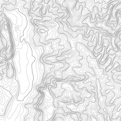 Abstract topographic map with elevation lines Vector Image